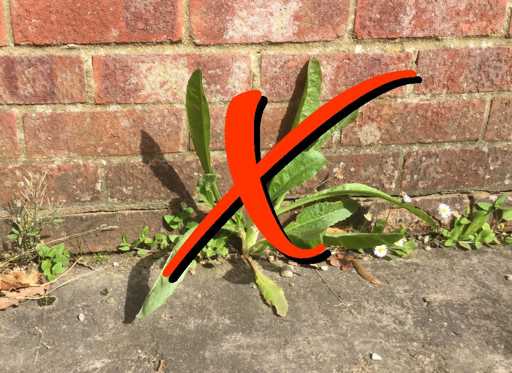 Weed Clearance – Bagshot Village